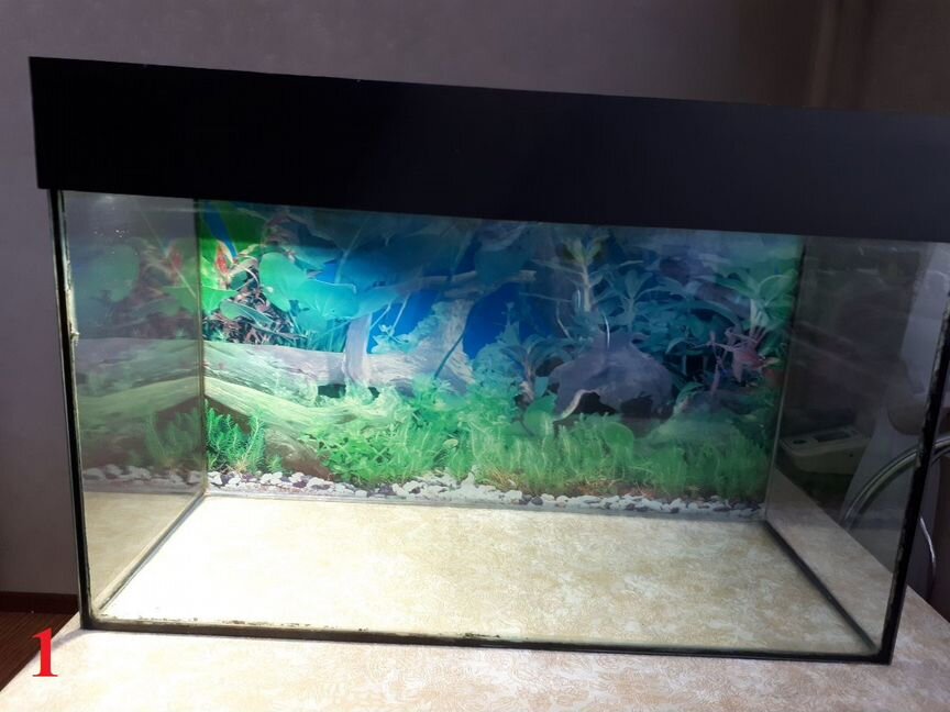 Аквариум и оборудование к нему