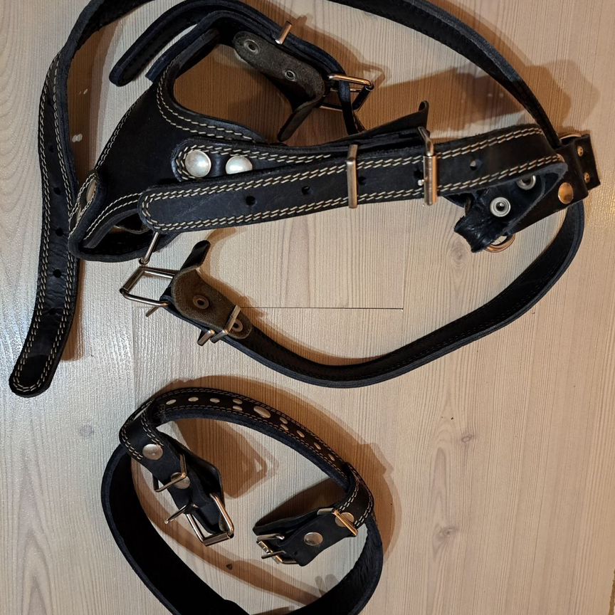 Шлейка для крупных собак