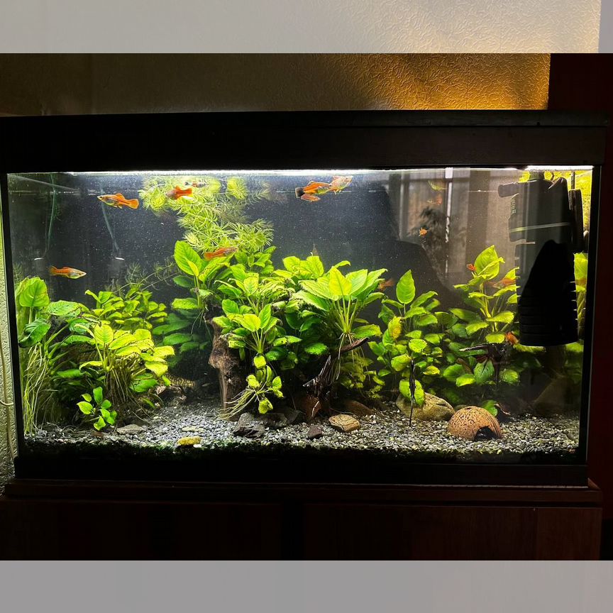 Аквариум с тумбой на сварном каркасе