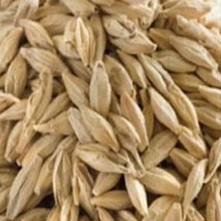 Горох, овес в мешках