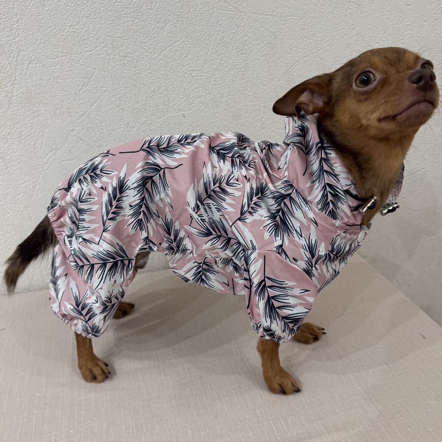 Одежда для маленьких собак s