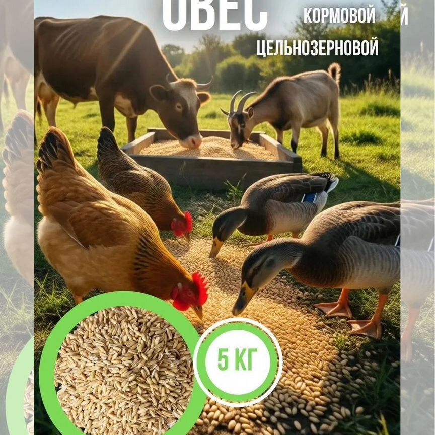 Овёс привезу