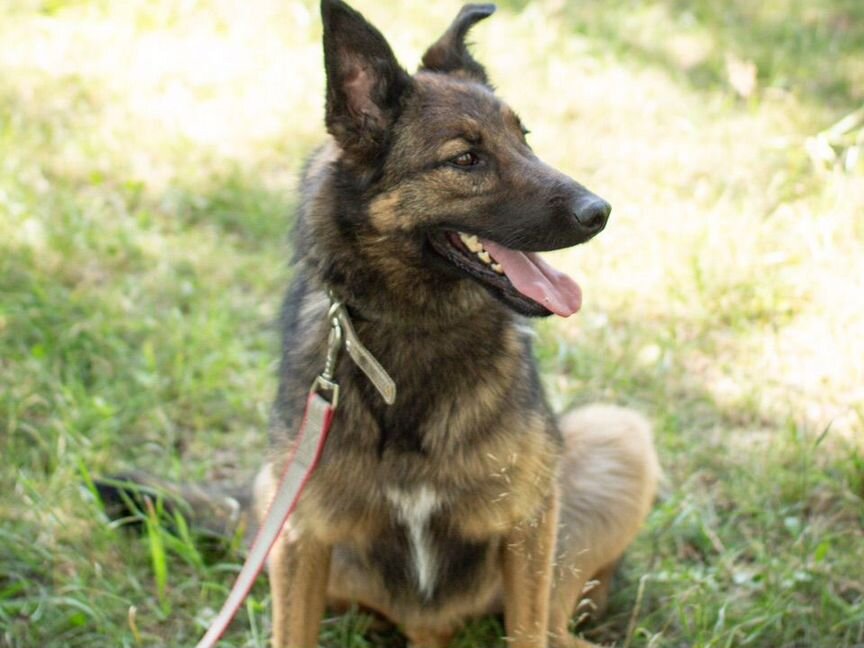 Зира ищет дом