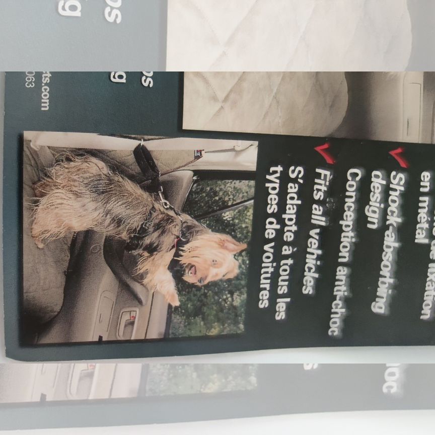 Шлейка для собаки в машину