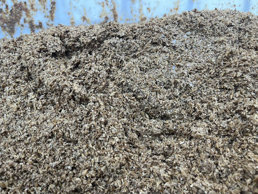 Пивная дробина