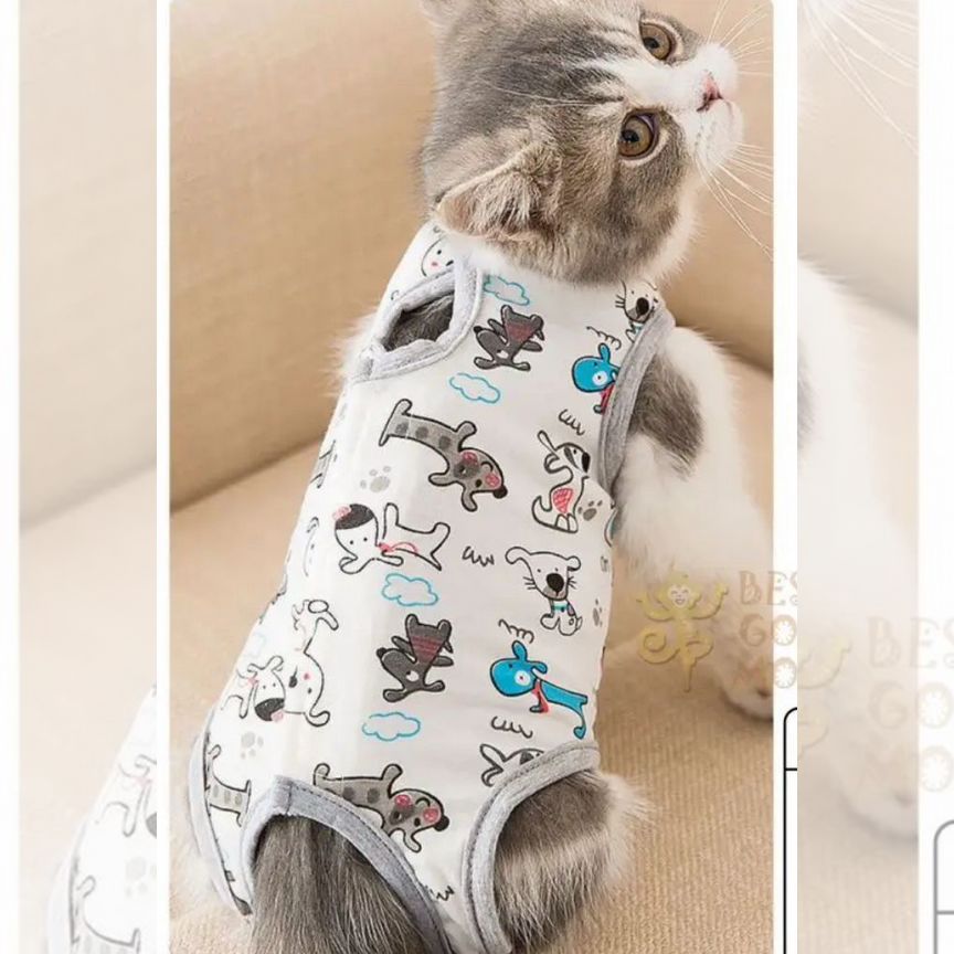 Бандаж для животных