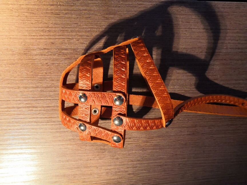 Намордник, амуниция для собак