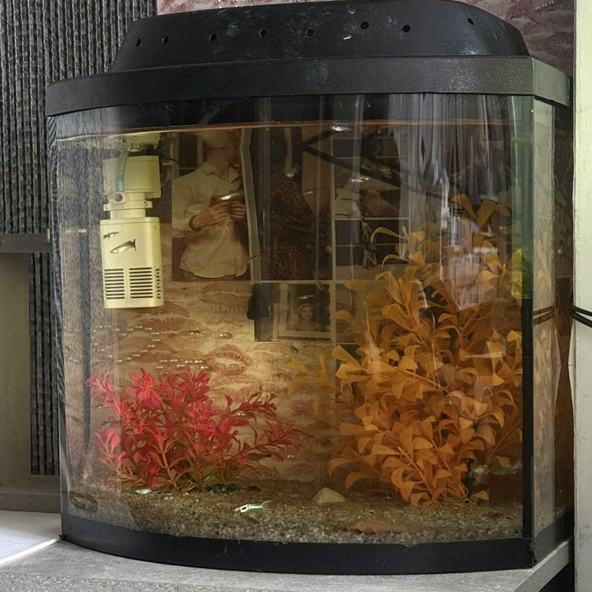 Аквариум с рыбками и всем необходимым