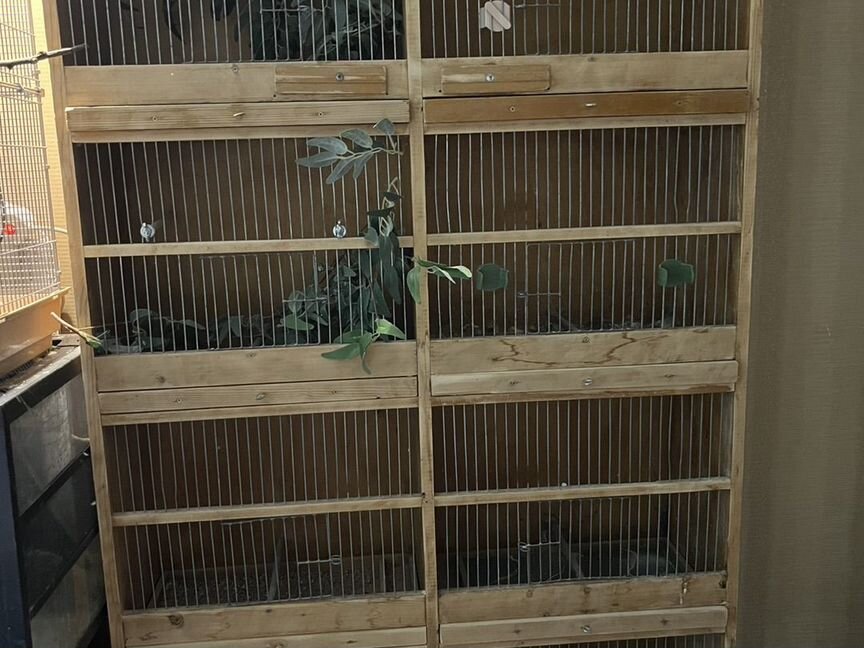 Клетка бокс для птиц