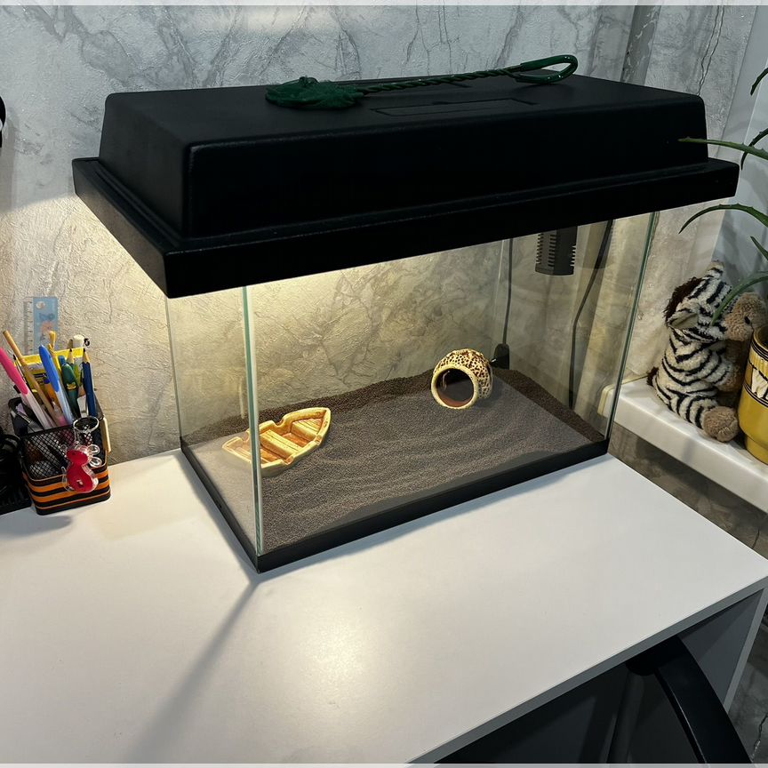 Аквариум с рыбками