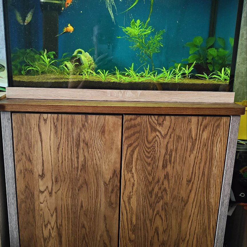 Аквариум 66 л со всем необходимым