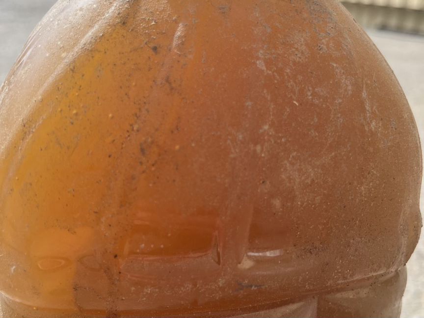 Фуз подсолнечный