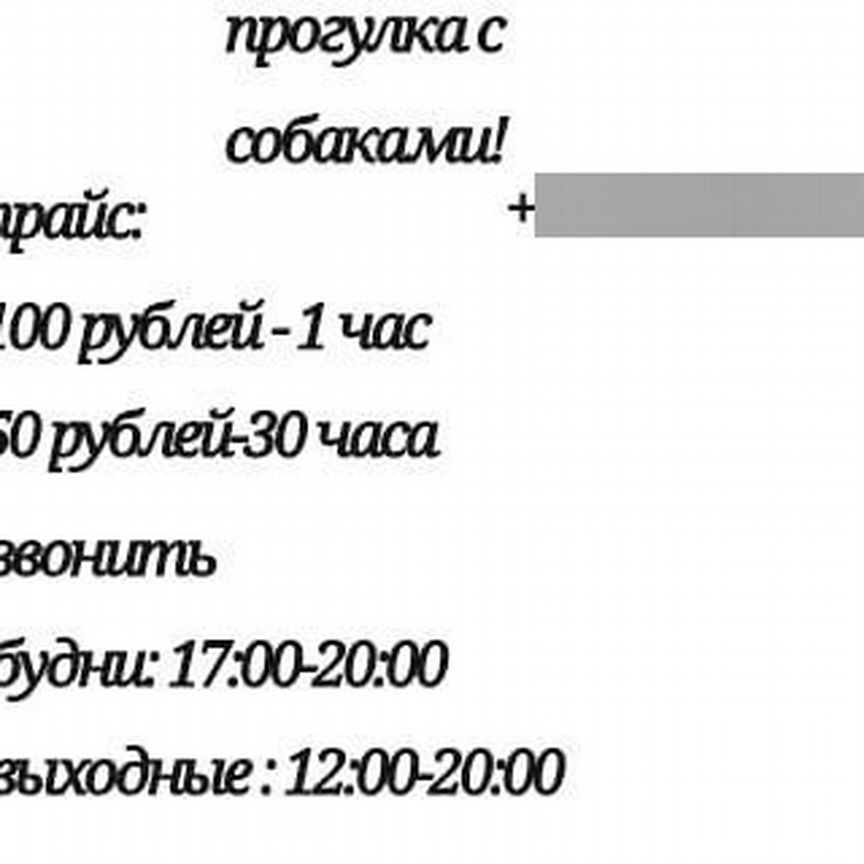 Гулять с собакой