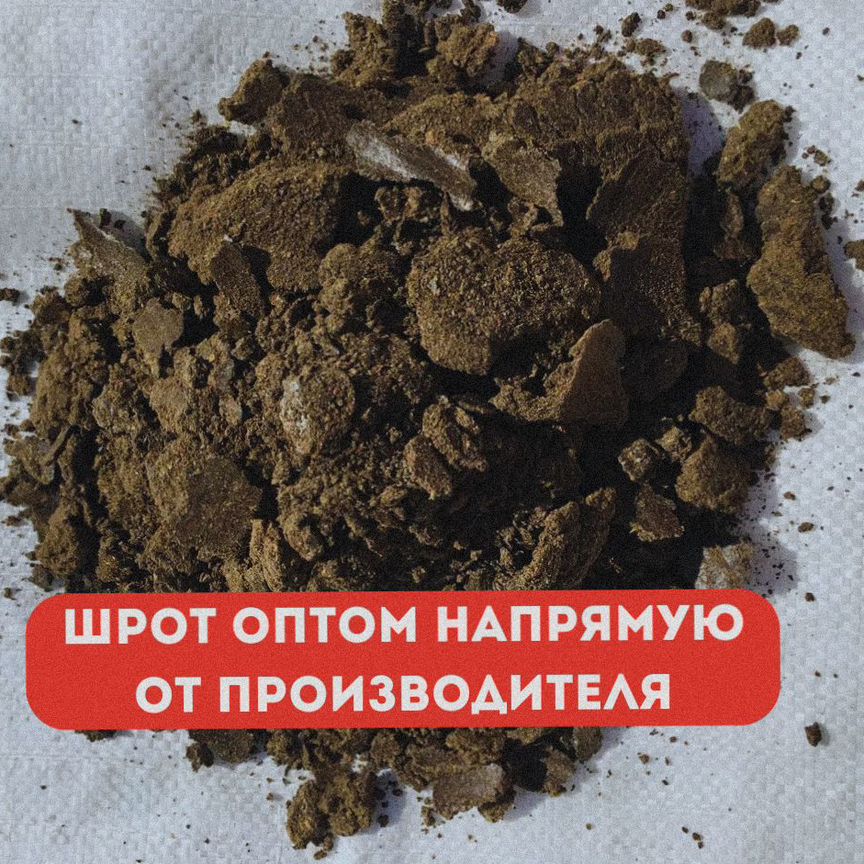 Шрот подсолнечный оптом ГОСТ