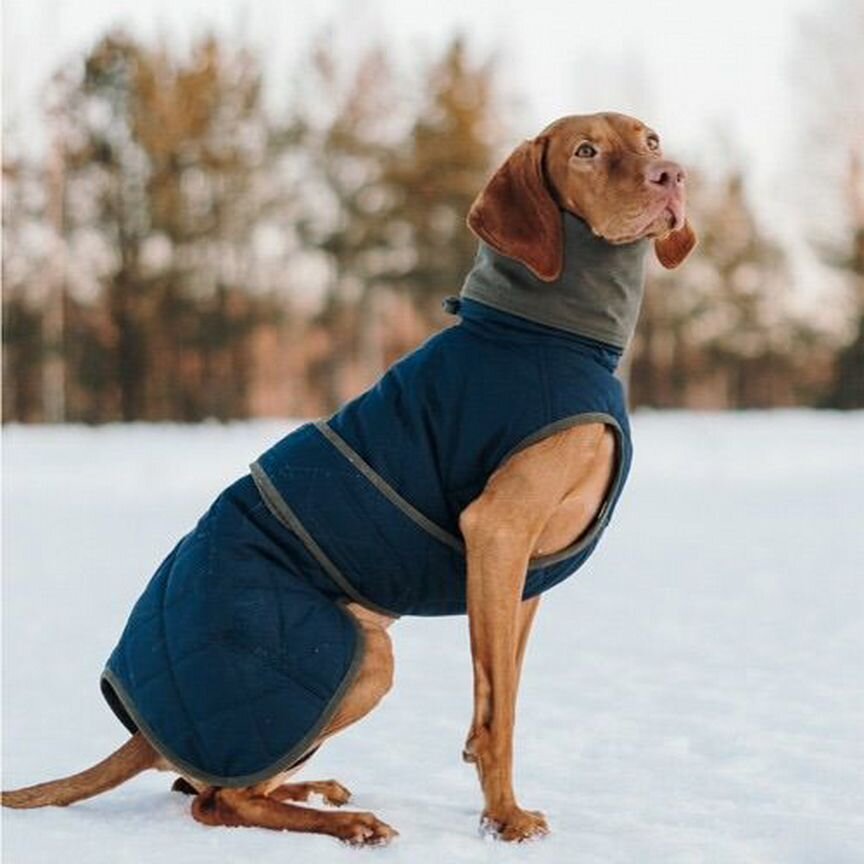 Куртка зимняя для собак bravehound