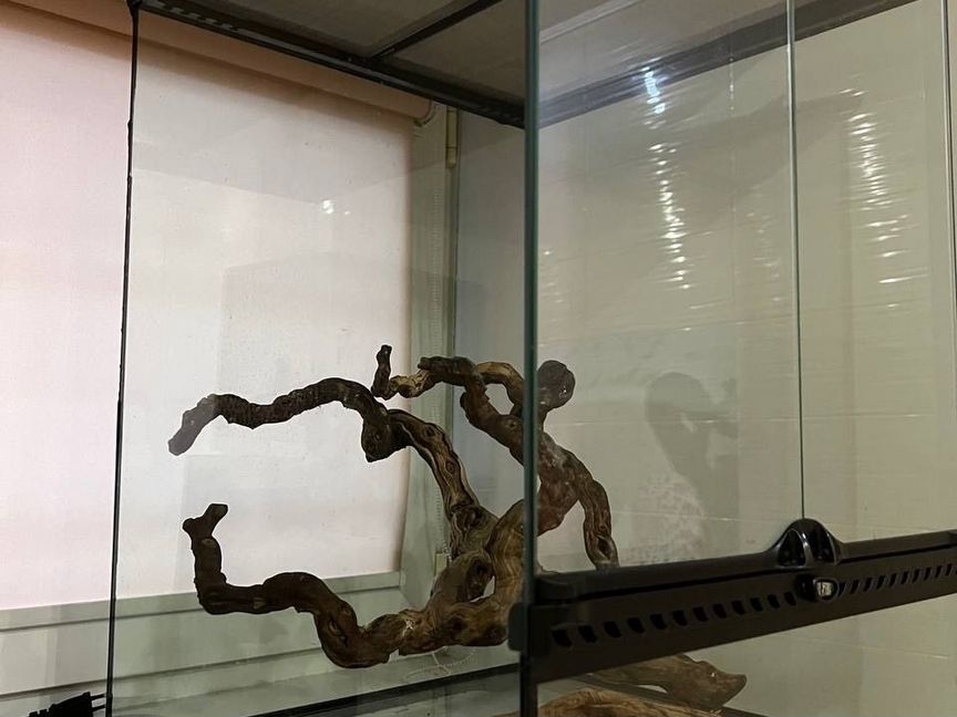 Террариум exo terra