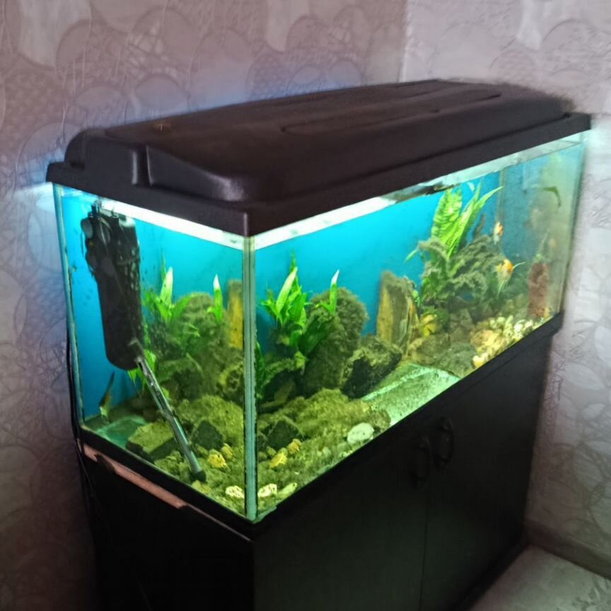 Аквариум полностью в заборе с тумбочке 250 литров