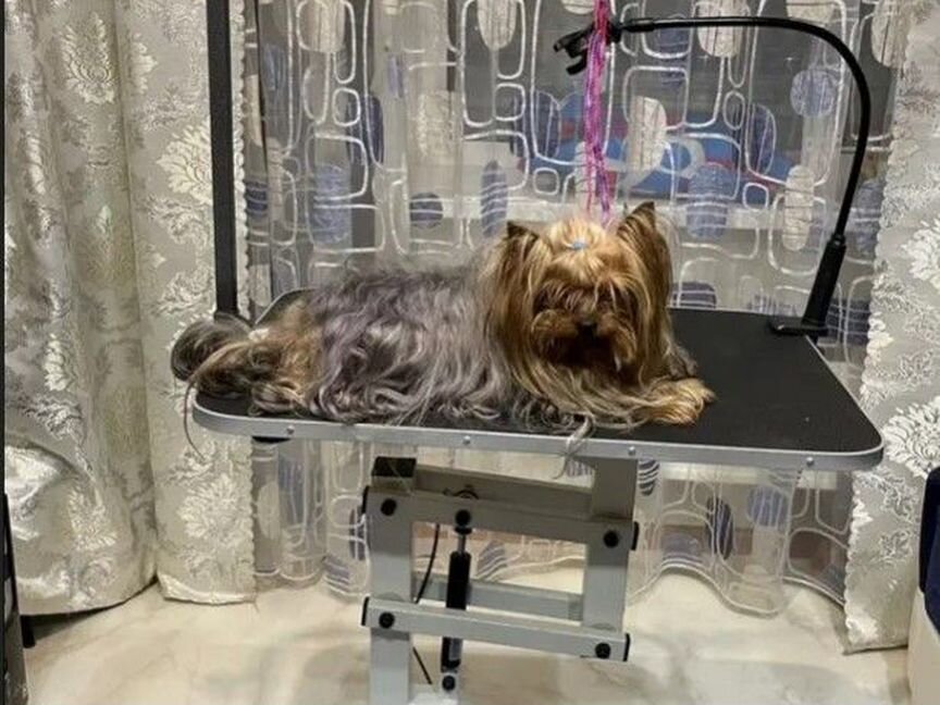 Стол для груминга с подъемником (Не китай)