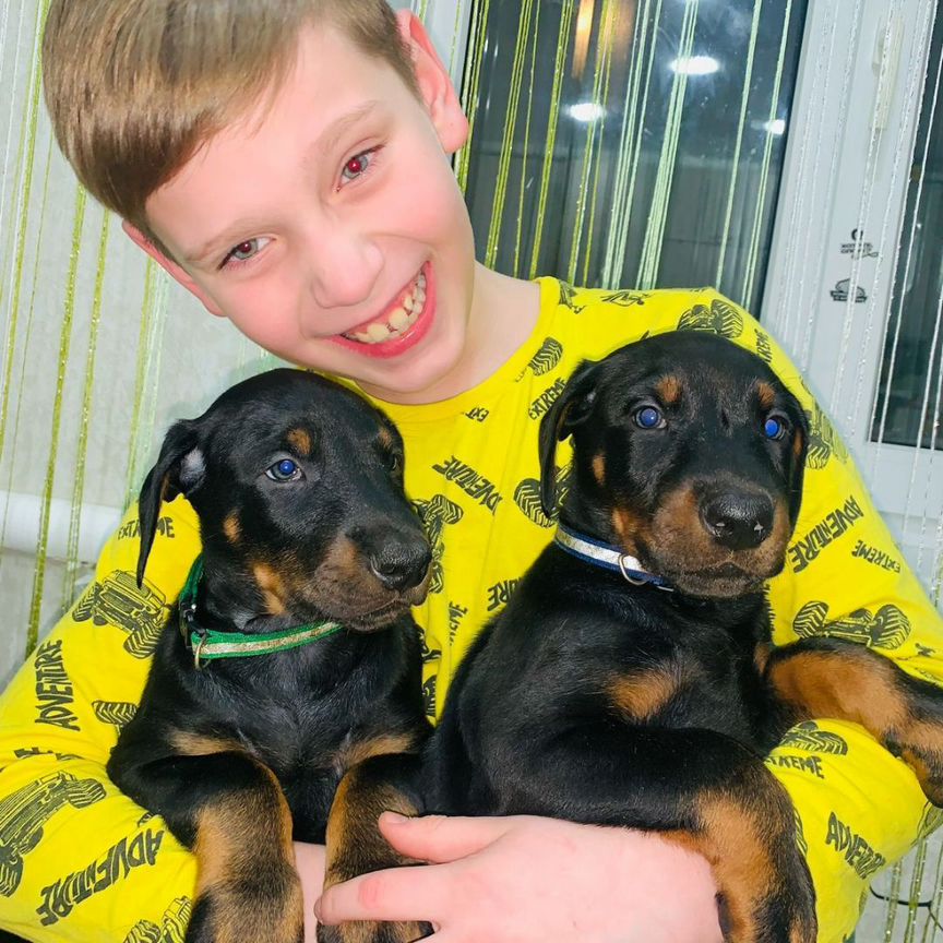 Добер детки