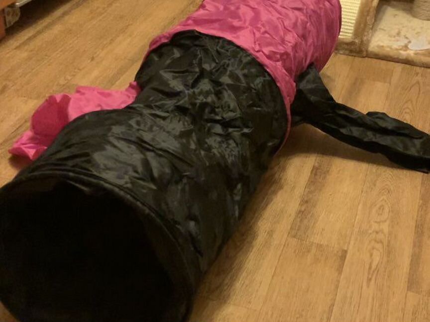 Тунель для кошки+ лежанка