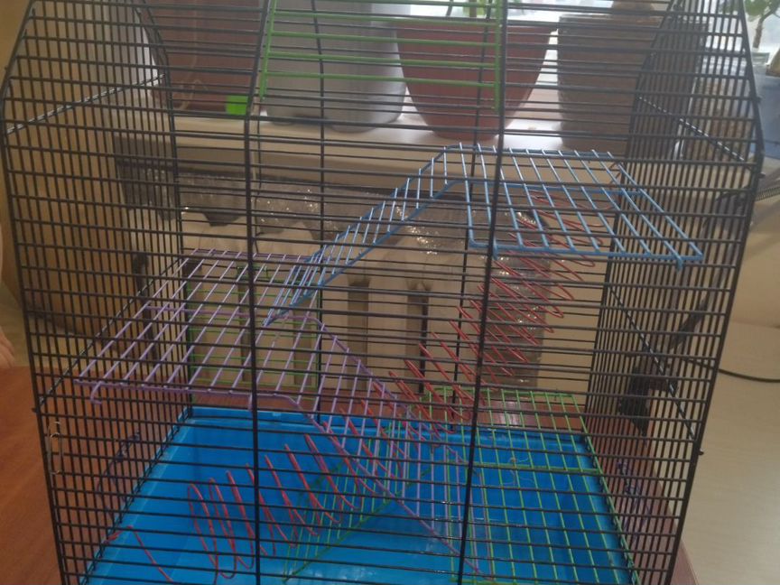 Клетка для грызунов