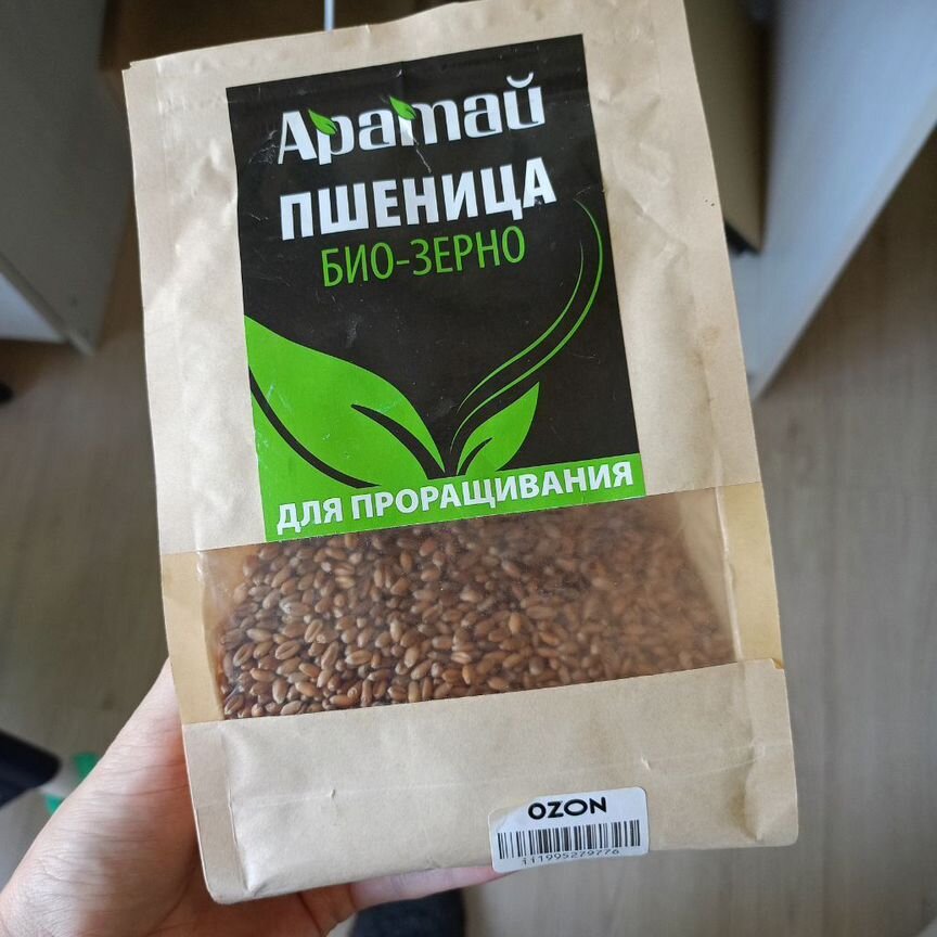 Пшеница для проращивания