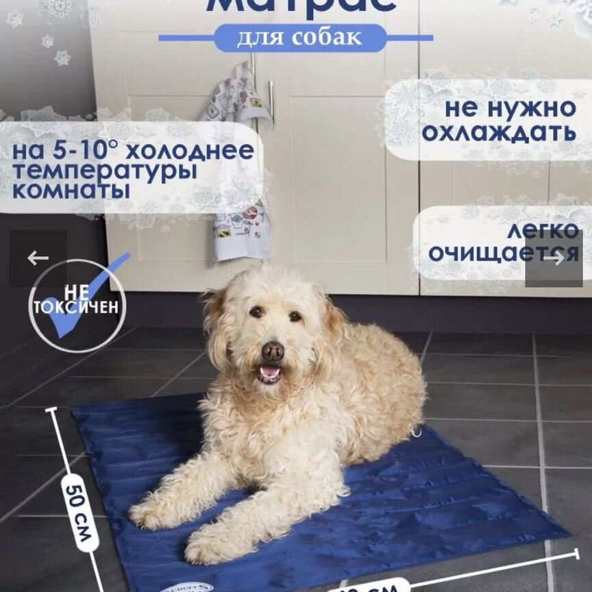 Матрас охлаждающий для собак scruffs
