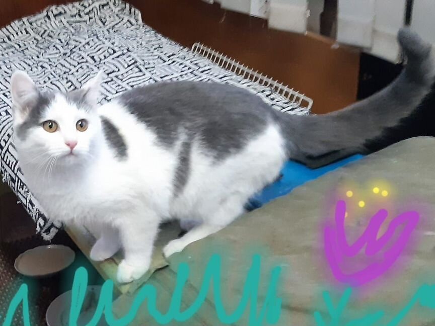 Ласковая девочка в любящие руки