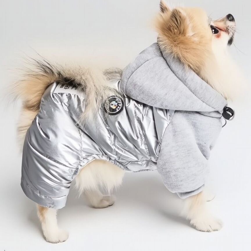 Одежда для собак