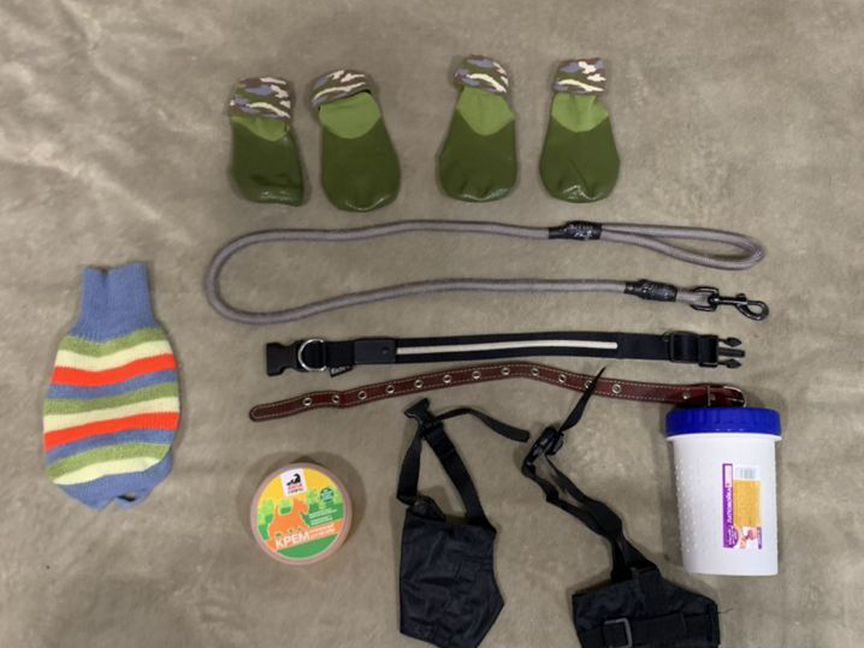 Поводок, ошейник, намордник, носки, лежанка (д