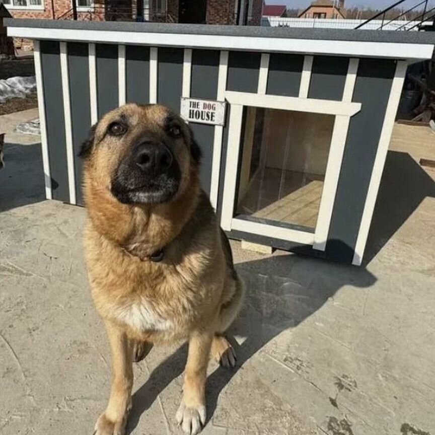 Будка для собак под заказ