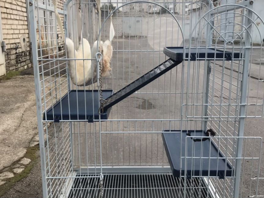 Клетка для грызунов большая