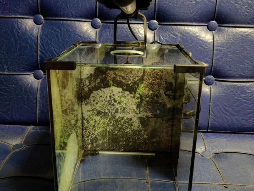 Аквариум Биодизайн Q-scape 6.5 л