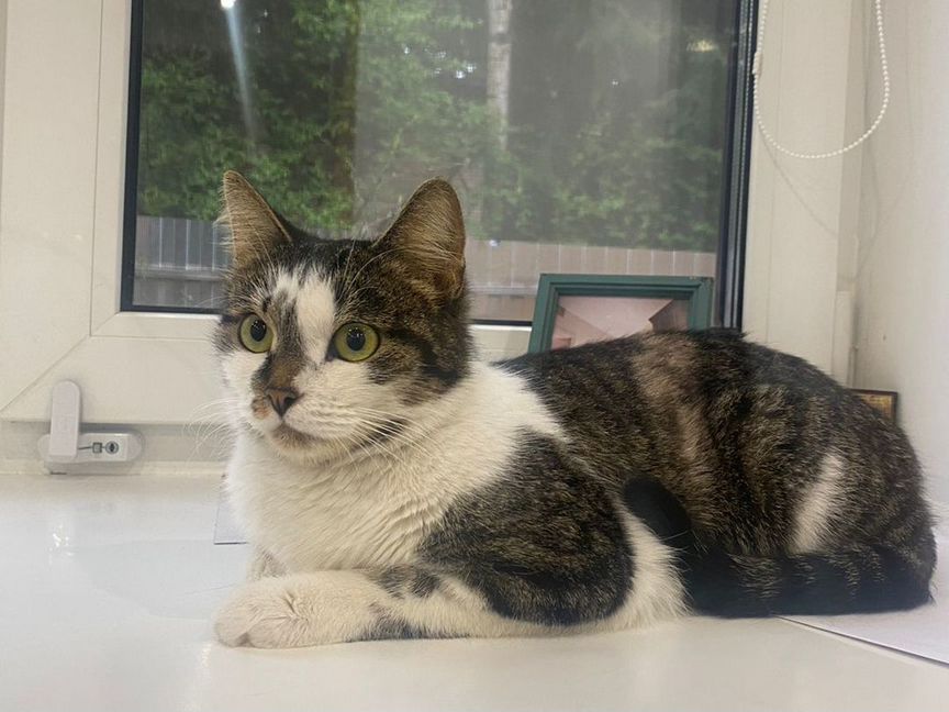 Прекрасная Маруся ищет дом