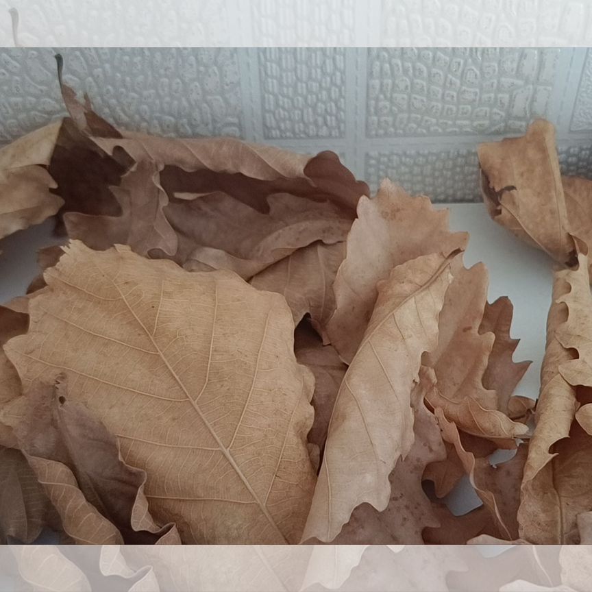 Корм для креветок и раков