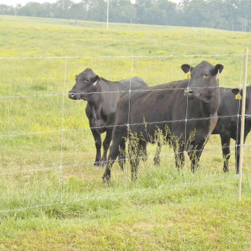 Электропастух