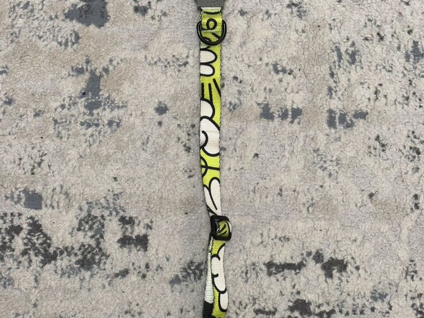 Ошейник ZEE.DOG smash