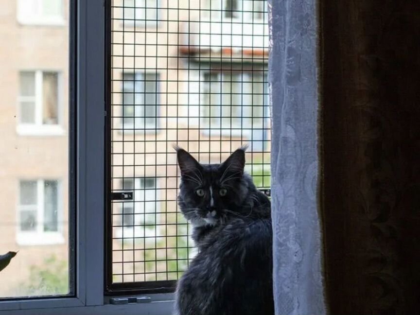 Сетка на окна антикошка