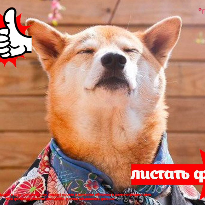 Собака (Вернитесь, чтобы заказать)