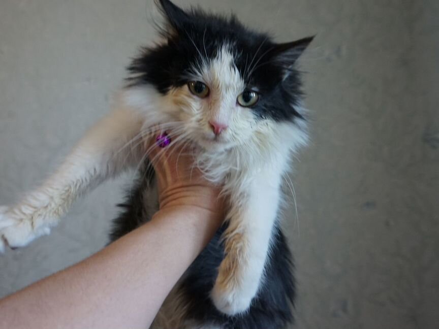 Красивый подросток пол годика хочет домой