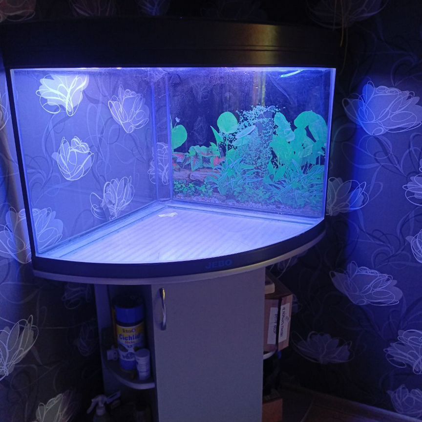 Аквариум угловой с тумбой