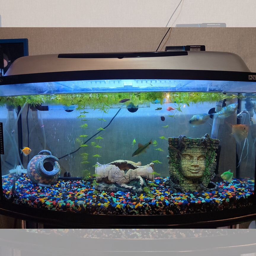 Аквариум 120 литров с тумбой