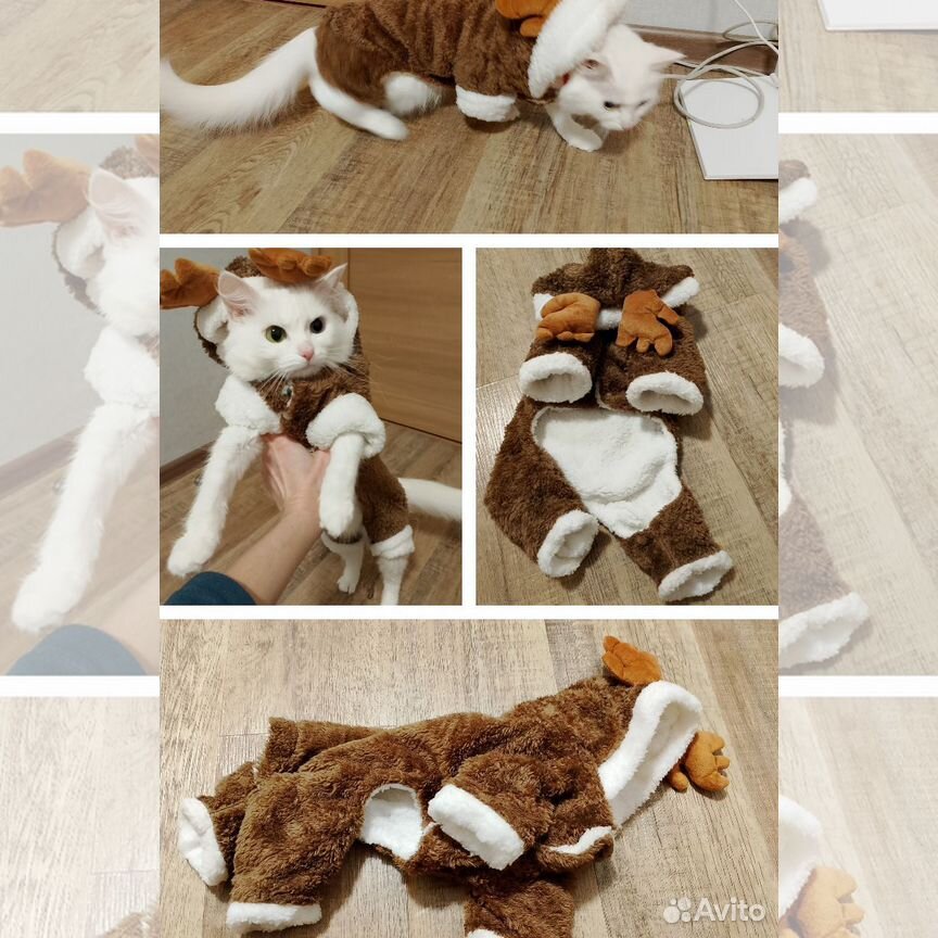 Костюм для кошки собаки