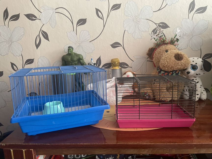 Клетка для грызунов