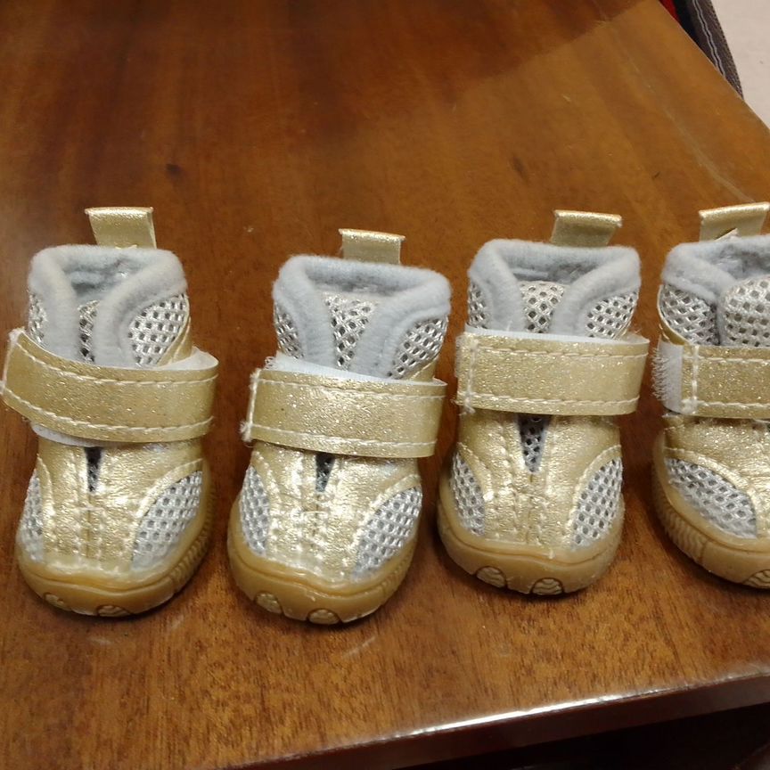 Сапожки зимние для собачки и толстовка