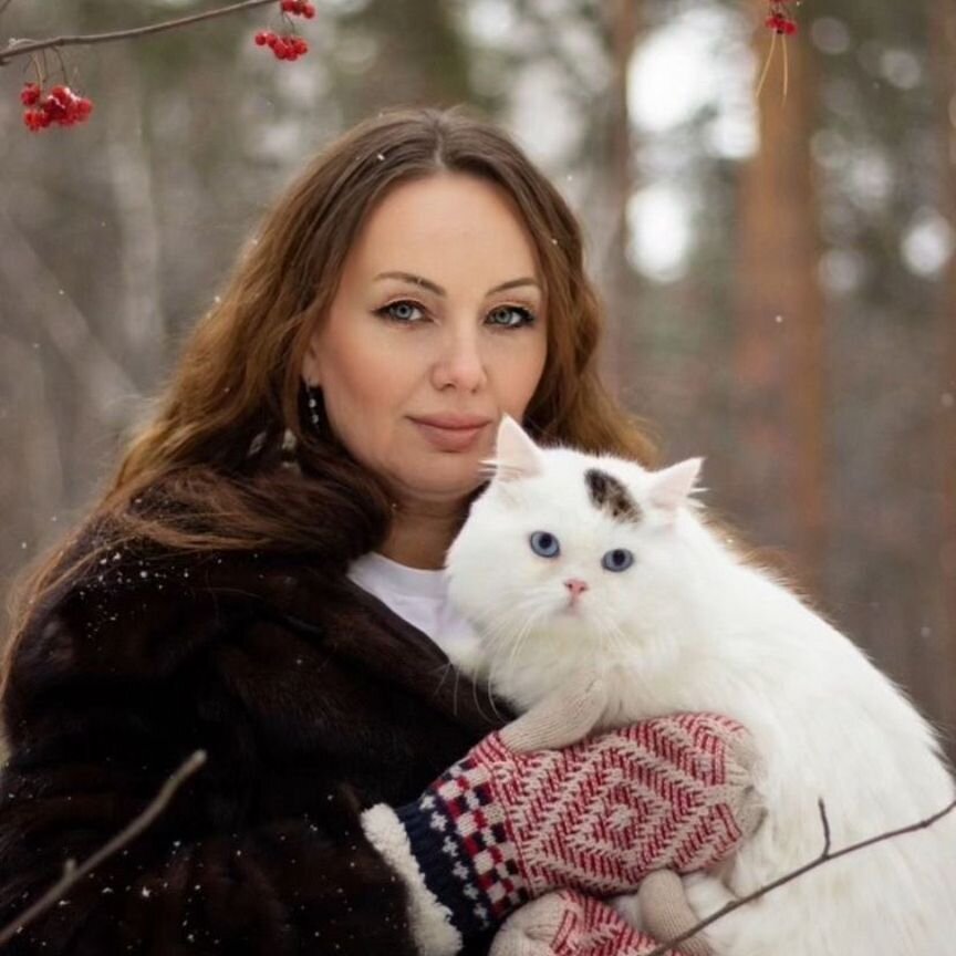 Голубоглазый кавалер