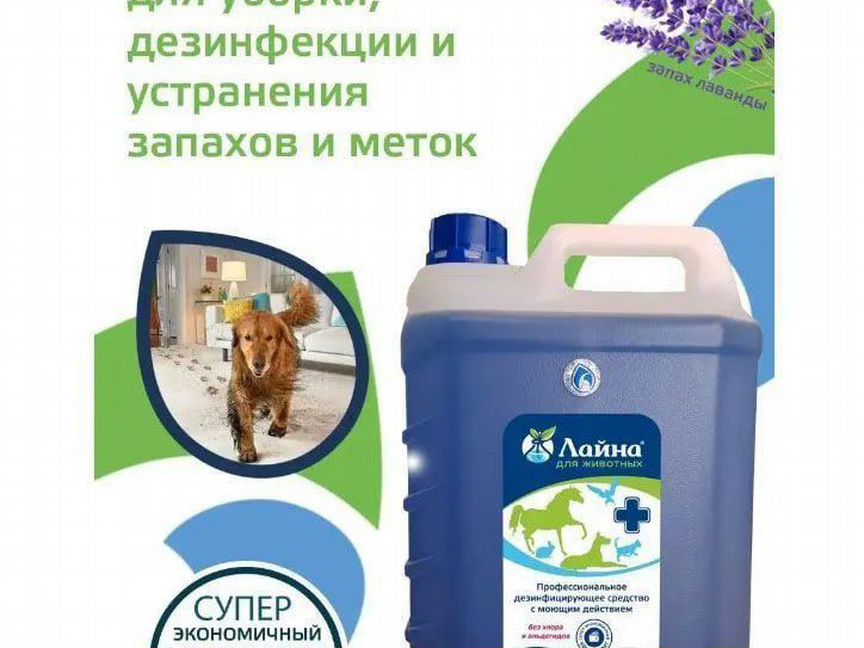 Лайна