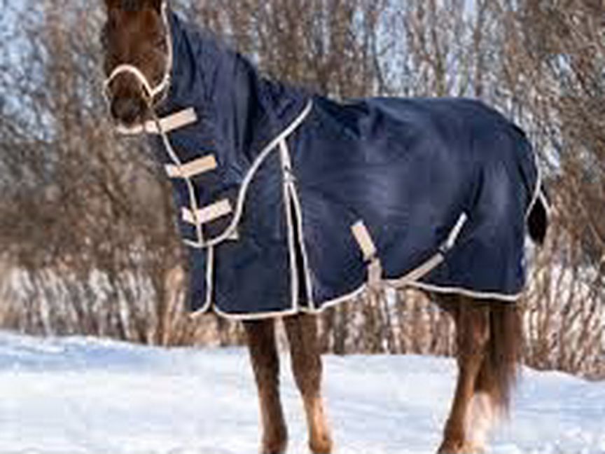 Попона для лошади
