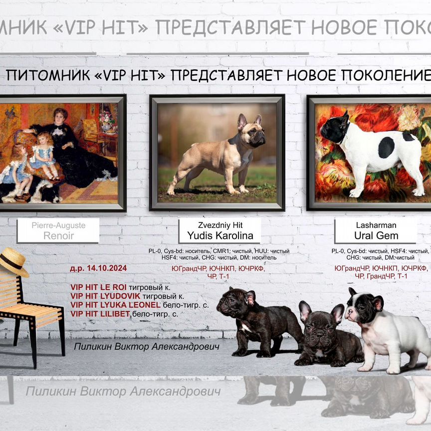 Щенки франзуского бульдога