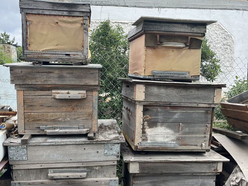 Продам ульи для пчел
